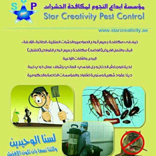 Star Creativity Pest Control & Cleaning | UAE Directory Advertising and ...